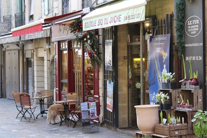 Roman Sites and Historical Places Day Trip From Avignon - Transportation and Inclusions