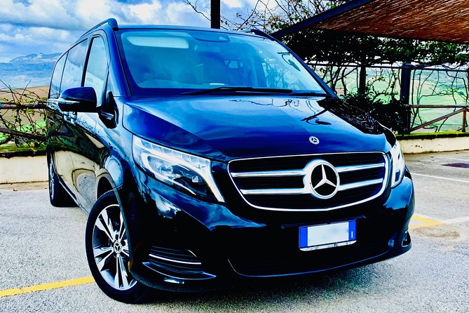 ROMAN VILLA in PIAZZA ARMERINA Private Tour from Palermo - The Cost and Value