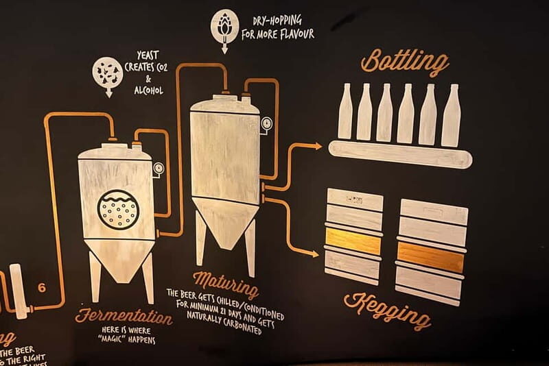 Romanian Craft Beer Tasting - An Honest Look at the Romanian Craft Beer Tasting Experience
