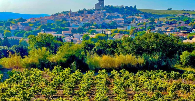 Romans and Wine - Key Points