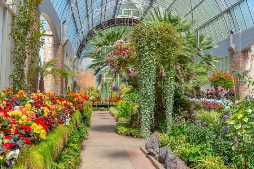 Romantic Charms of Auckland  Private Walking Tour - Exploring Auckland’s Hidden Gems and Iconic Landmarks