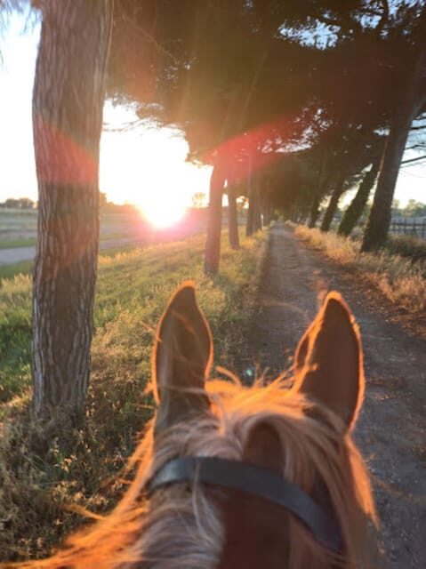 Romantic Day in Ancient Rome - Key Points