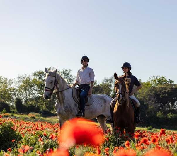 Romantic Day in Ancient Rome - Exploring the Day Step by Step