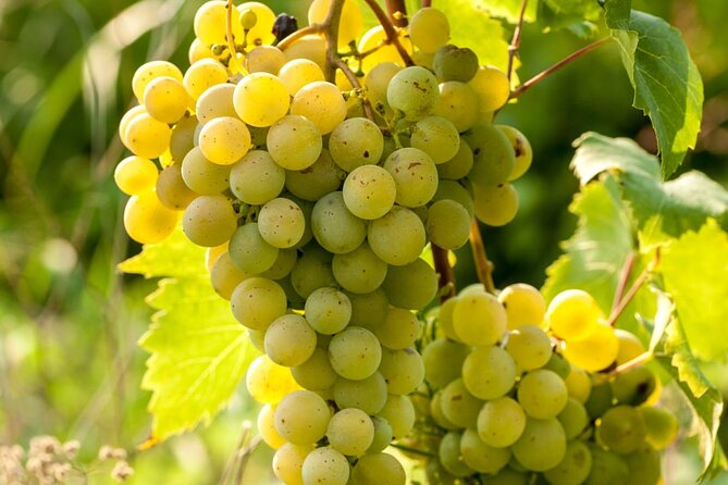 Romantic Day Out in Surrey With Wine Tasting for Couples - Discover Historic Villages