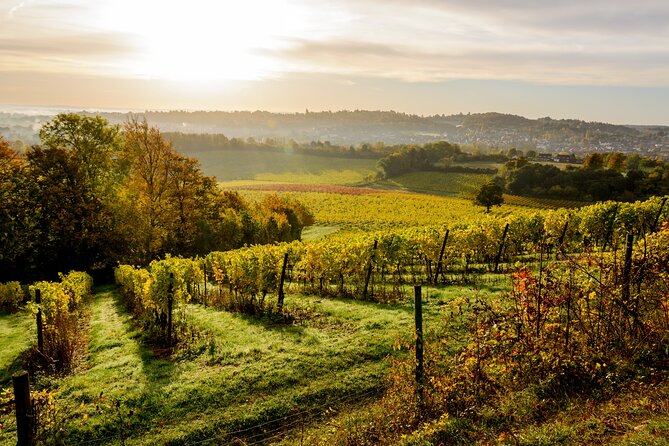 Romantic Day Out in Surrey With Wine Tasting for Couples - Since You Asked