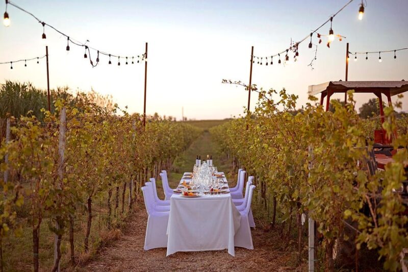 Romantic Dinner in the Vineyard of Poggio Ai Laghi Winery - Pricing and Reservation
