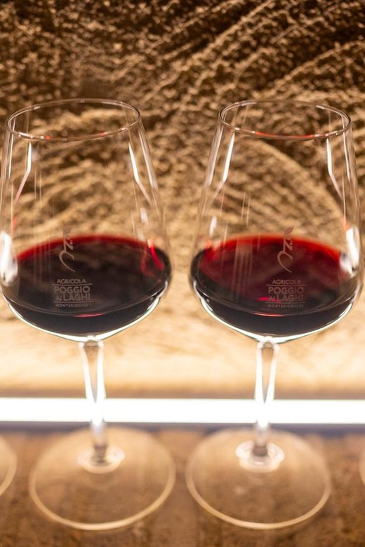 Romantic Dinner in the Vineyard of Poggio Ai Laghi Winery - Unique Aspects of the Experience