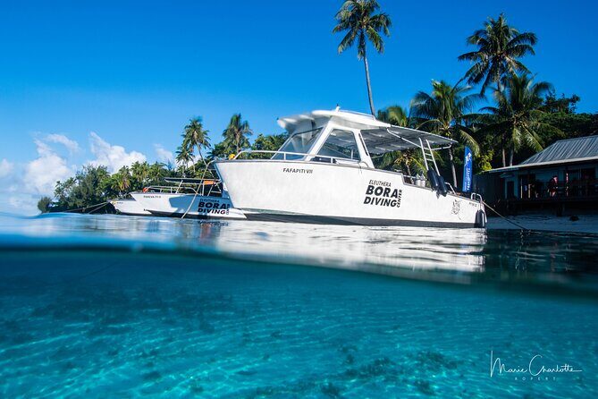 Romantic Dive for beginners in Bora Bora (2 people) with Video - Practical Details and Considerations