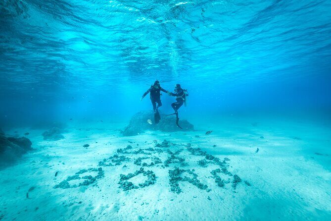 Romantic dive in the lagoon of Bora Bora. Private instructor on a shared boat - Key Points