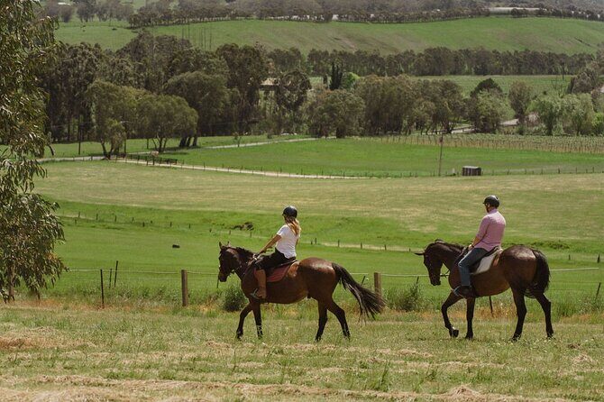Romantic Horse Trail Ride with Wine and Food in Adelaide Hills - A Closer Look at the Experience