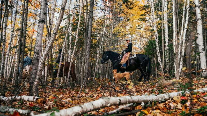 Romantic horseback riding at sunset : La Crépuscule - A Close Look at the Experience