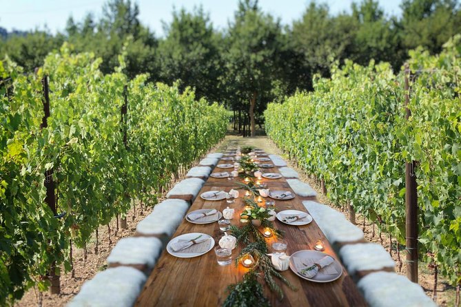 Romantic Lunch in the Vine Rows in Tuscany - Indulgent Desserts to End on a Sweet Note