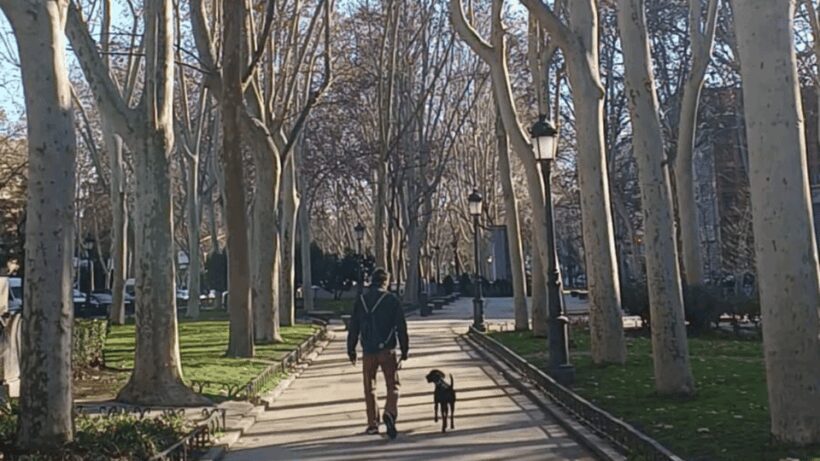 Romantic Madrid in the 19th century - Final Thoughts
