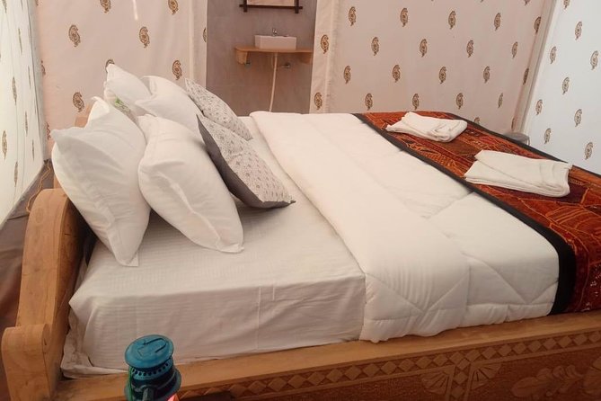 Romantic night in the Desert - Why This Tour Shines for Travelers