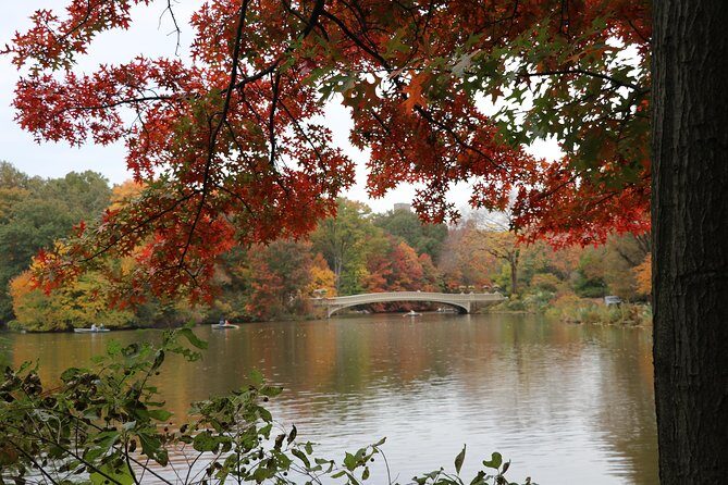Romantic/Proposal Central Park Carriage Tour (Up to 4 Adults) - The Sum Up