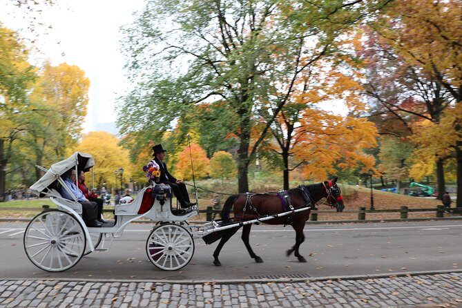 Romantic/Proposal Central Park Carriage Tour (Up to 4 Adults) - Frequently Asked Questions
