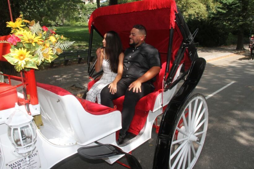 Romantic/Proposal Central Park Carriage Tour Up to 4 Adults - The Extras That Elevate the Experience
