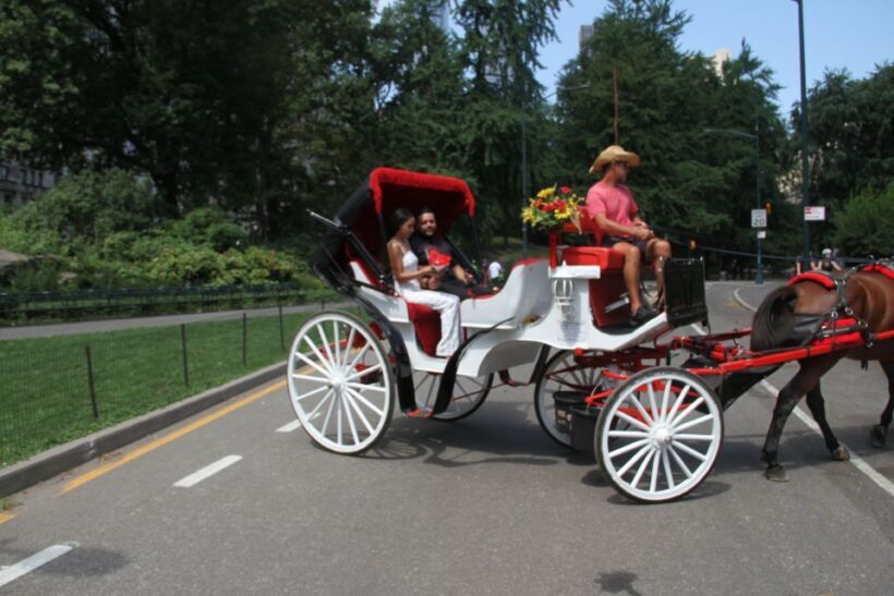 Romantic/Proposal Central Park Carriage Tour Up to 4 Adults - The Practical Side: Price, Duration, and Group Size