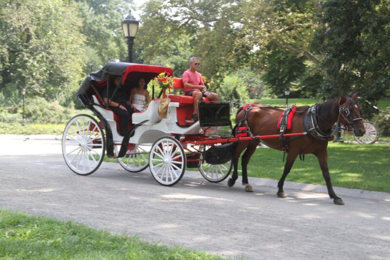Romantic/Proposal Central Park Carriage Tour Up to 4 Adults - Key Points