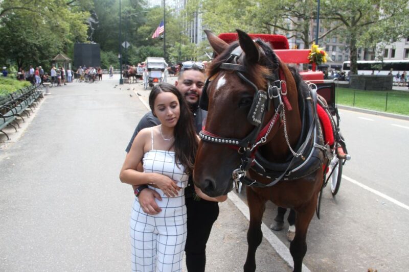 Romantic/Proposal Central Park Carriage Tour Up to 4 Adults - What to Expect During the Tour