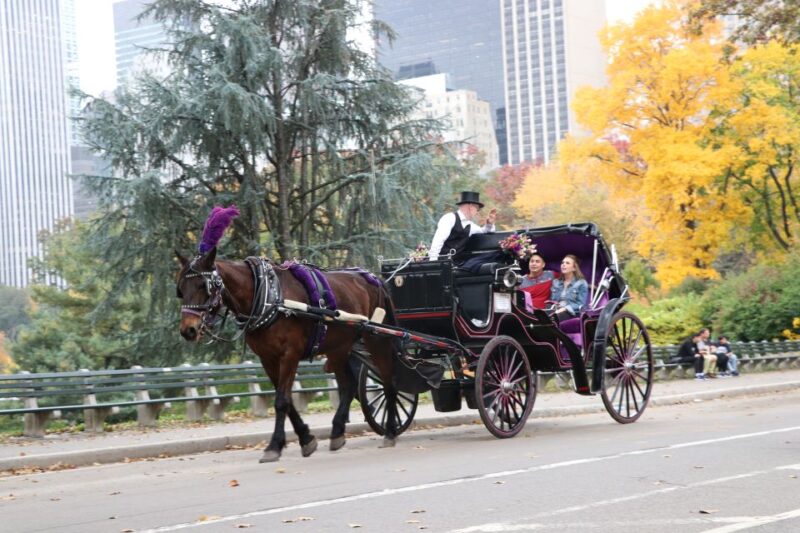 Romantic/Proposal Central Park Carriage Tour Up to 4 Adults - The Sum Up