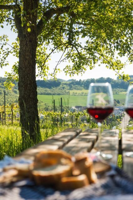 Romantic Road Ticket Würzburg - Rothenburg with Wine Tasting - Key Points