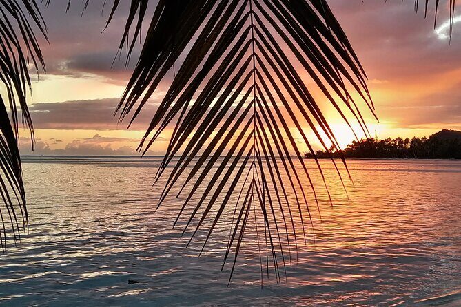 Romantic sunset diner - The Itinerary: What to Expect