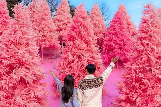 Romantic tour : Cherry blossom days in spring from Seoul - Who is this Tour Best For?