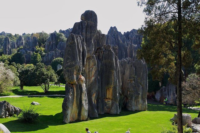 Romantic Tour in Kunming - Key Points