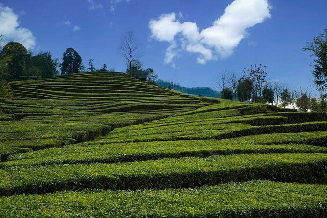 Romantic Tour in Yichang - Value and Practical Tips