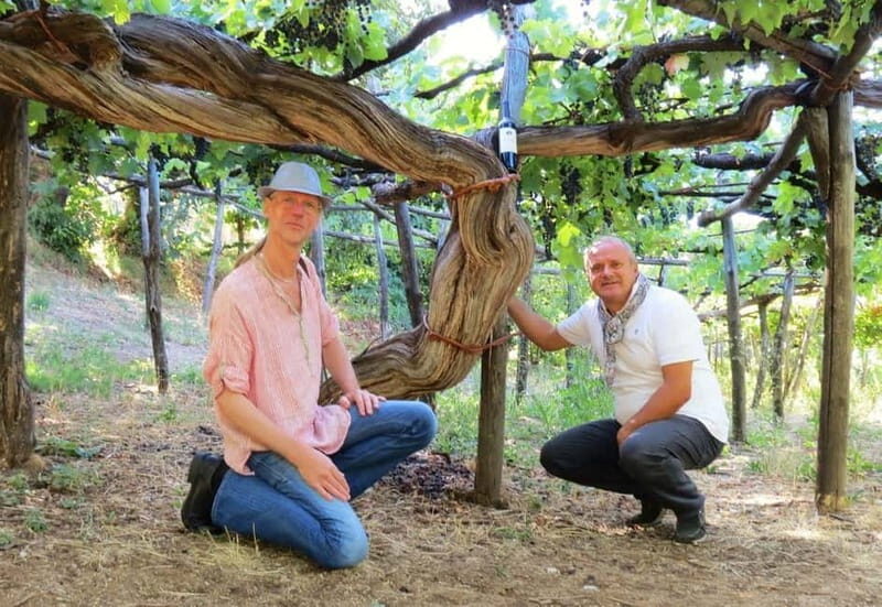 Romantic Tuk Tuk Tour with Wine Tasting in Amalfi Hills - Key Points