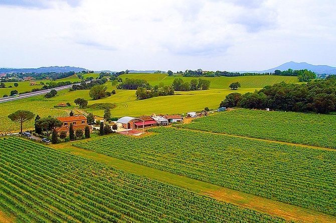 Romantic Vespa Tour and Wine Tasting - Why Choose This Experience?