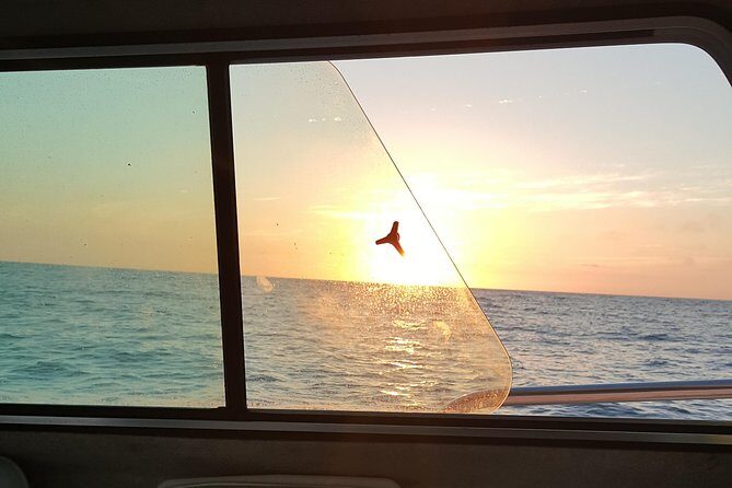 Romantic Wine and Cheese Boat Tower Cruise - An In-Depth Look at the Experience