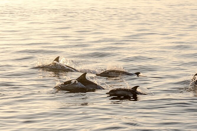 Romatic Sea Experience (Sunset + Overnight + Breakfast) - Reviews and Ratings