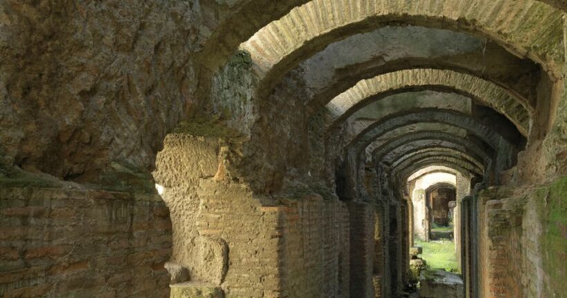 Rome: Ancient History and Colosseum Underground Tour - The Experience and Guides: What Travelers Say