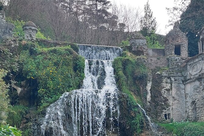 Rome and Airports Trasfers to Civitavechia Port - Practical Details and Considerations