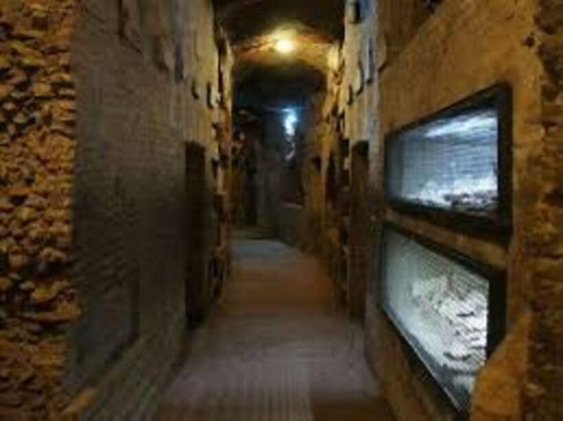 Rome: Appian Catacombs tour with transfere - Who Will Love This Tour?