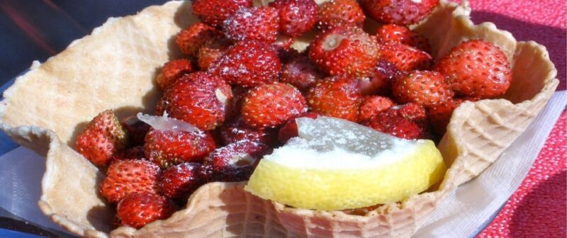 Rome: Beauties and Flavors of the Romans with Wine Tasting - Final Thoughts