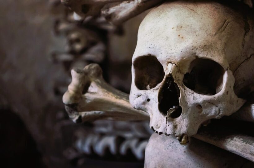 Rome: Capuchin Crypts Express Tour - Introduction