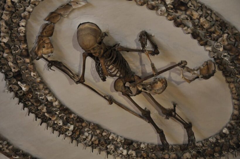 Rome: Capuchin Crypts Express Tour - What is the Capuchin Crypts Express Tour?