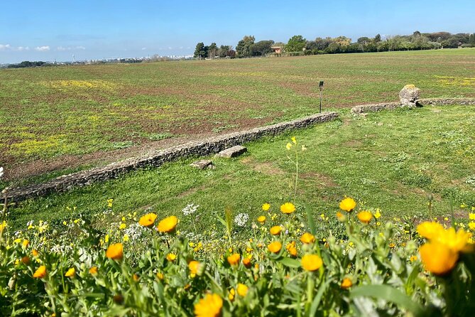 Rome: Castelli Romani Day Trip by Train and E-Bike - Who Should Consider This Tour?