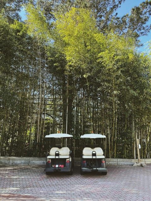 Rome City Sightseeing by Golf Cart Or Tuk Tuk (Private) - FAQ