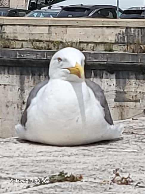 Rome: City Walking Tour with German Guide - Final Words