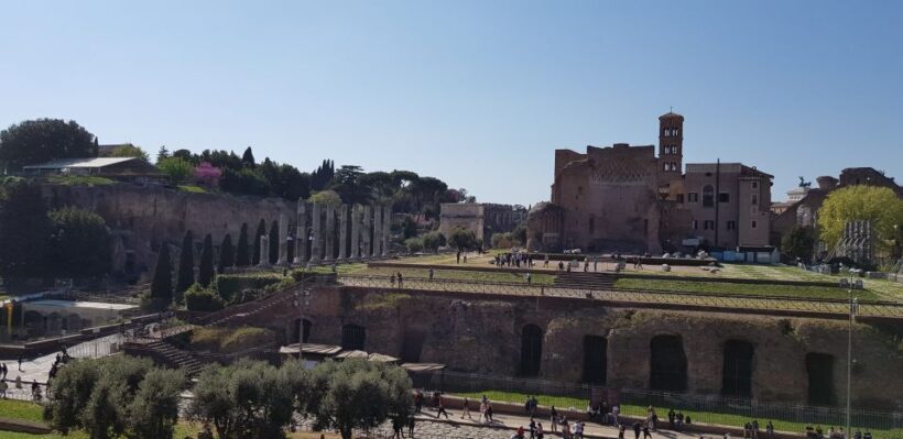 Rome: Colosseum Arena, Forum & Palatine Hill Private tour - Final Thoughts