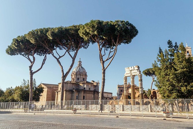 Rome Colosseum & Forum PRIVATE TOUR With a Local PRIVATE Guide - What Travelers Are Saying
