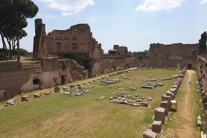 Rome Colosseum, Palatine Hill Tour Review - Customer Testimonials