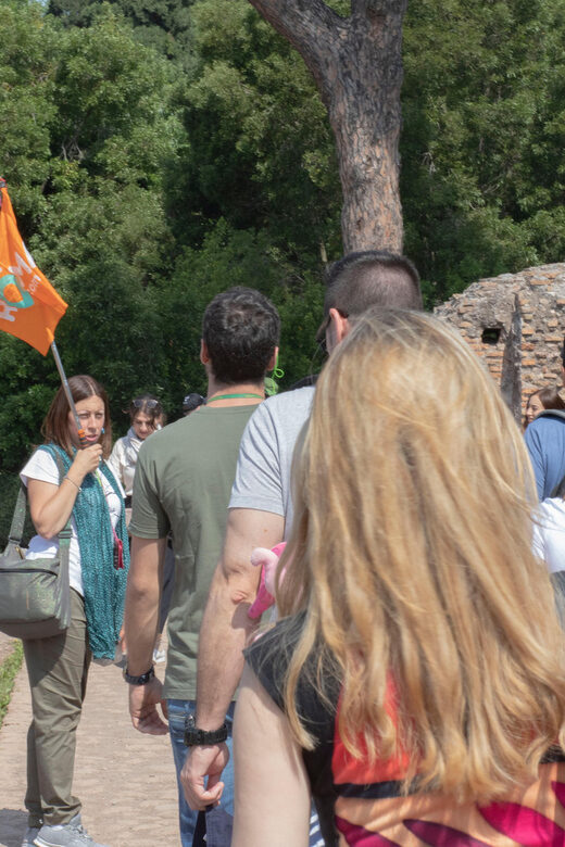 Rome: Colosseum, Roman Forum and Palatine Hill Guided Tour - Who Will Love This Tour?