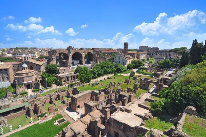 Rome: Colosseum, Roman Forum, and Palatine Hill Guided Tour - Authentic Experiences & Guest Feedback