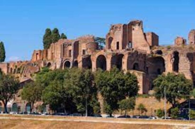 Rome: Colosseum, Roman forum & palatine hill private tour - The Experience from Reviews