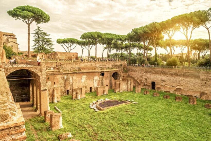 Rome: Colosseum Underground, Arena & Forum Tour - What Travelers Say: Authentic Perspectives